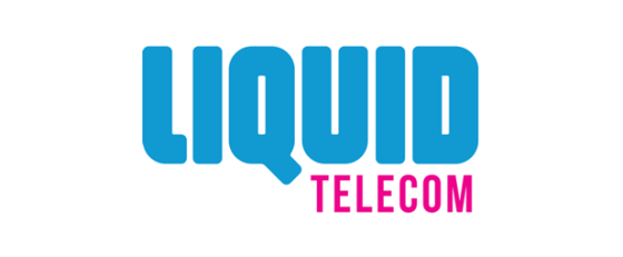 Liquid Telecom rolling out public DNS servers in Africa to improve ...