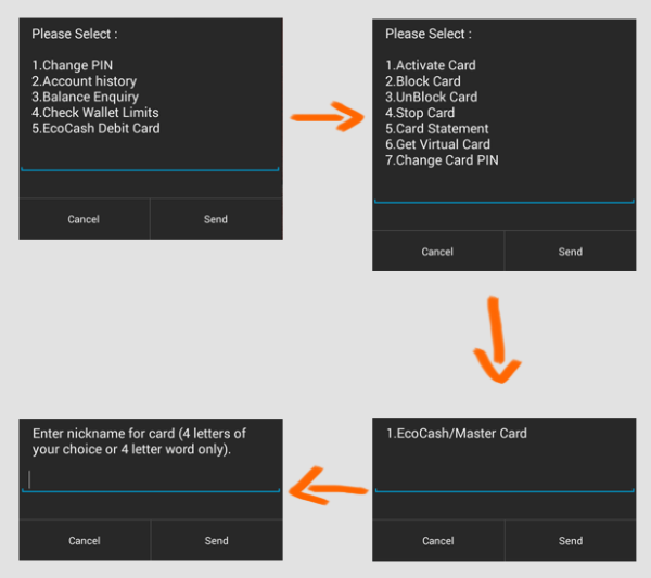 EcoCash online payments through MasterCard - Techzim