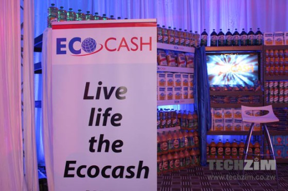 How we lost $20 to EcoCash and failed to recover it up to now! - Techzim
