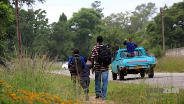 Grade 7 results are out. Here is how to view them - Techzim