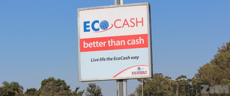How To Send Money From South Africa With EcoCash - Techzim