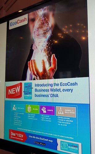 Ecocash Unveils A Business Wallet Dedicated For Business Payments - Techzim