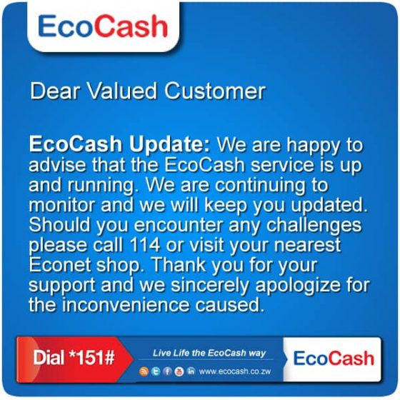 EcoCash Announces The Platform Is Now "Up And Running" - Techzim