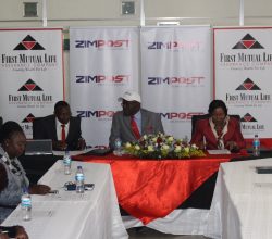 All Business news and updates | Techzim