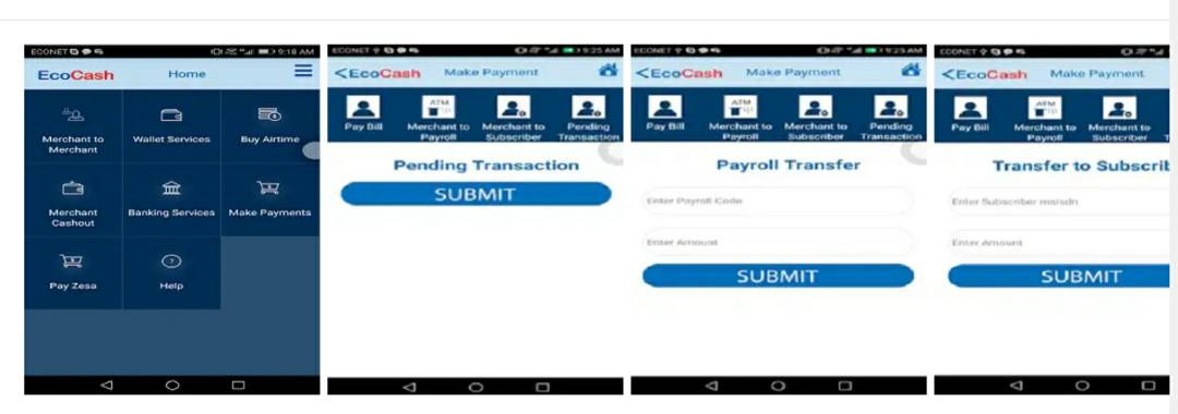 Instead Of Using The USSD To Access The EcoCash Business Wallet, Use ...
