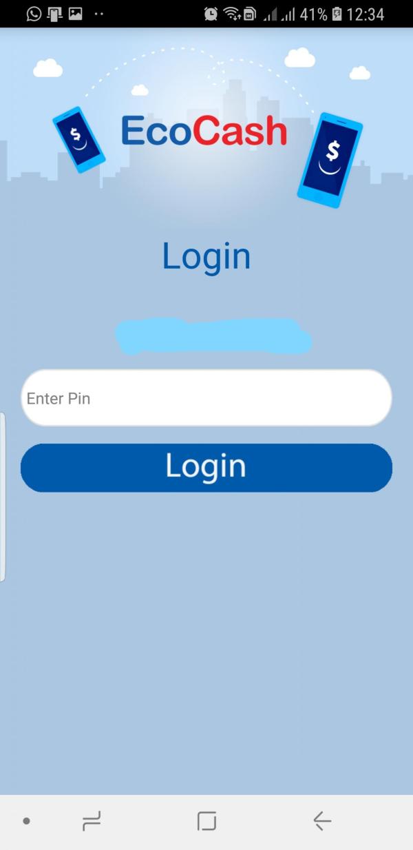 Here Are Some Of The New Features On EcoCash - Techzim