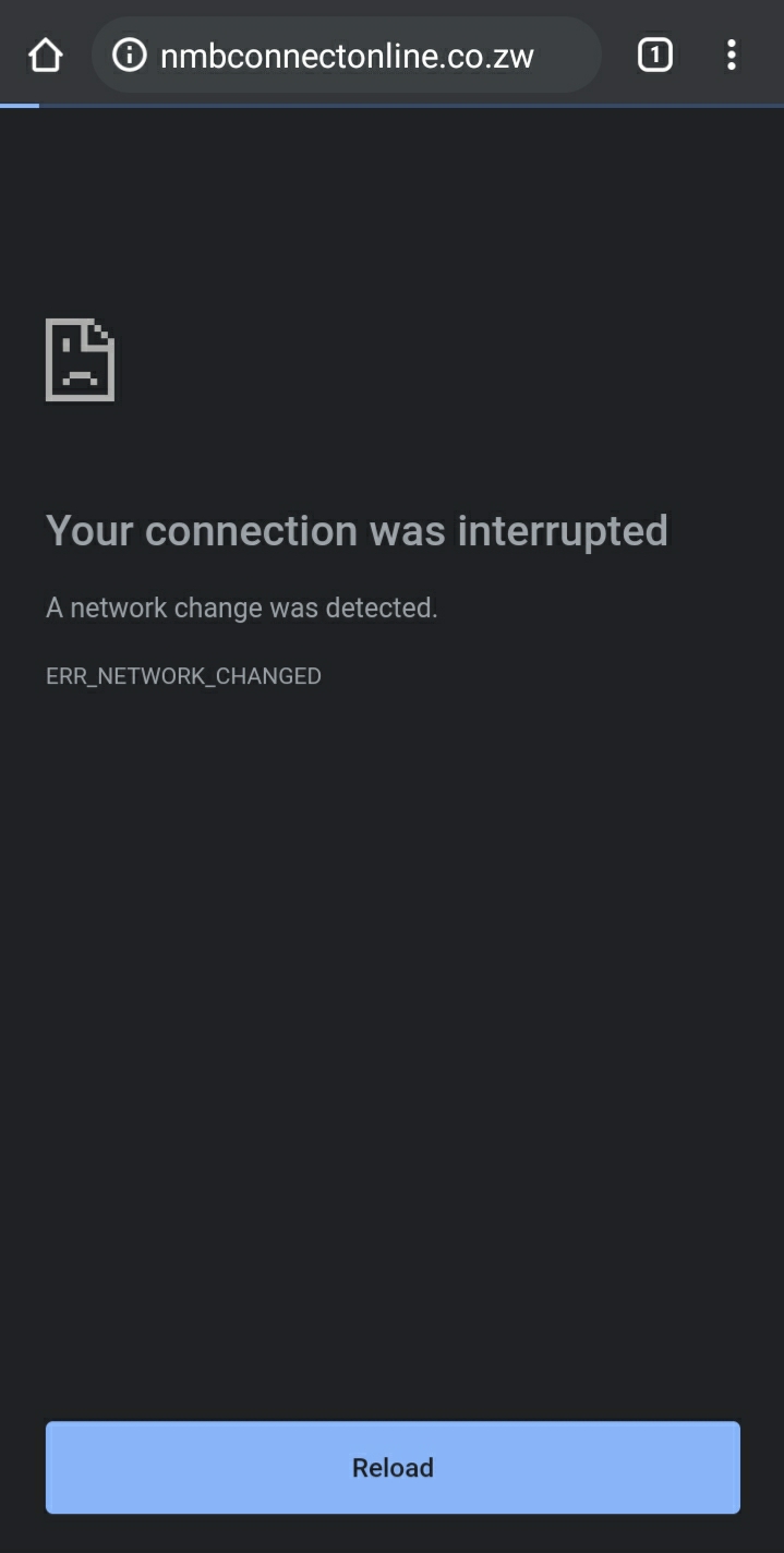 NMB Connect Online is down - Techzim