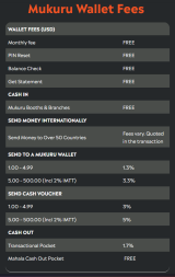 Mukuru Wallet Officially Launches in Zimbabwe: How It Works and What It ...