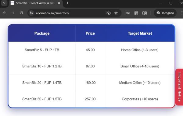 Econet SmartBiz Customers Frustrated By Slower Internet Speeds - Techzim